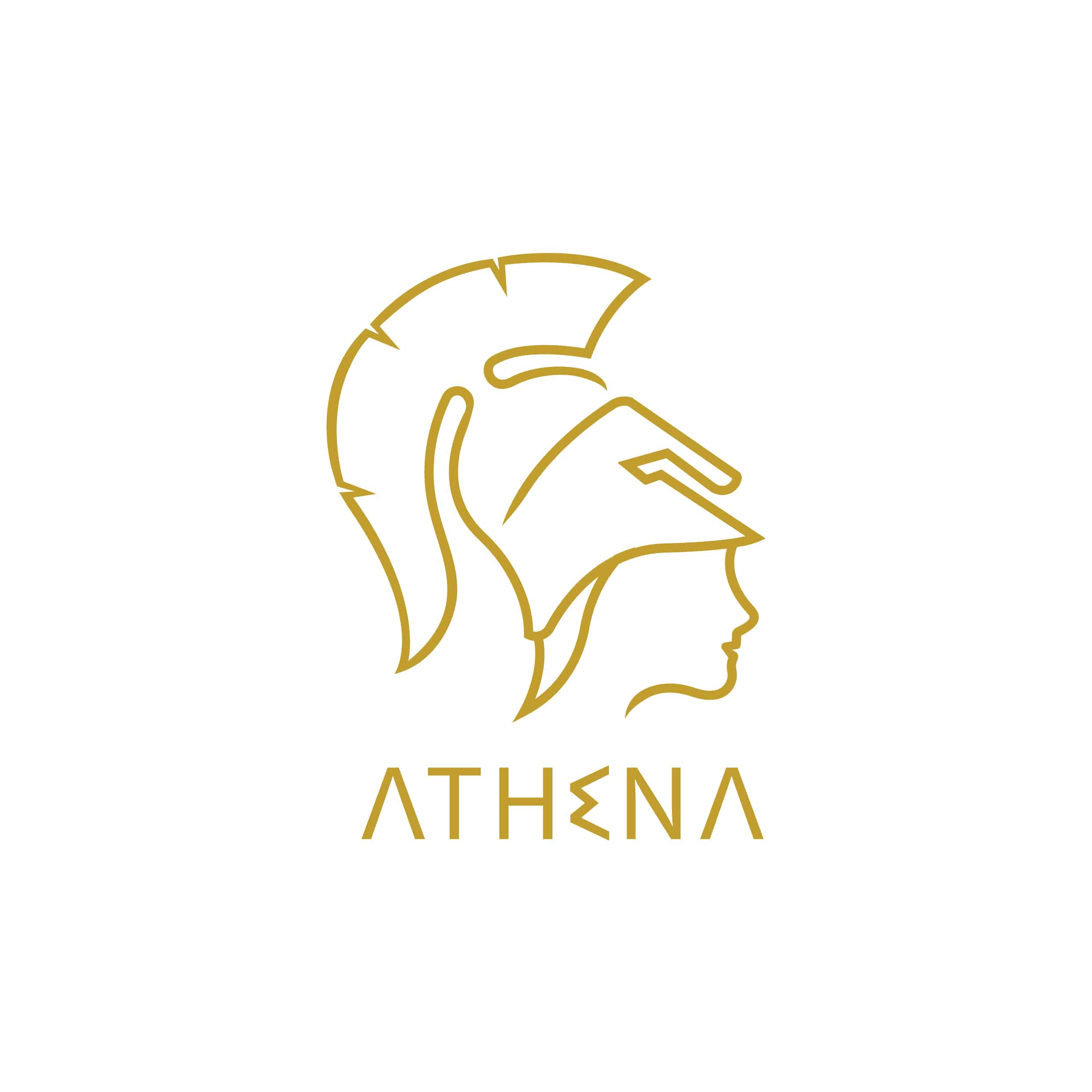 Athena Craft Túi cỏ bàng Athena Craft